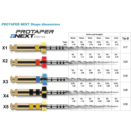 Protaper Next File
